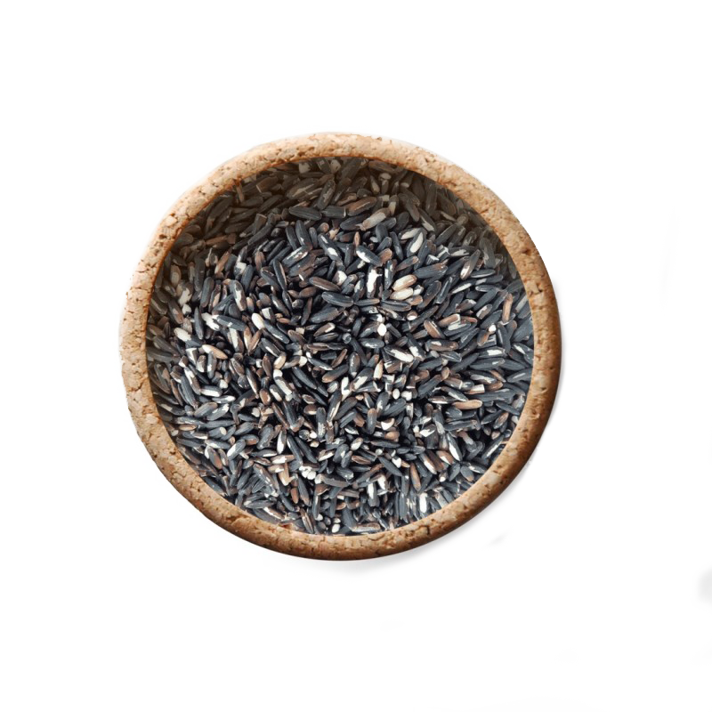 Know about the traditional rice varieties of Tamilnadu | UlaMart.com