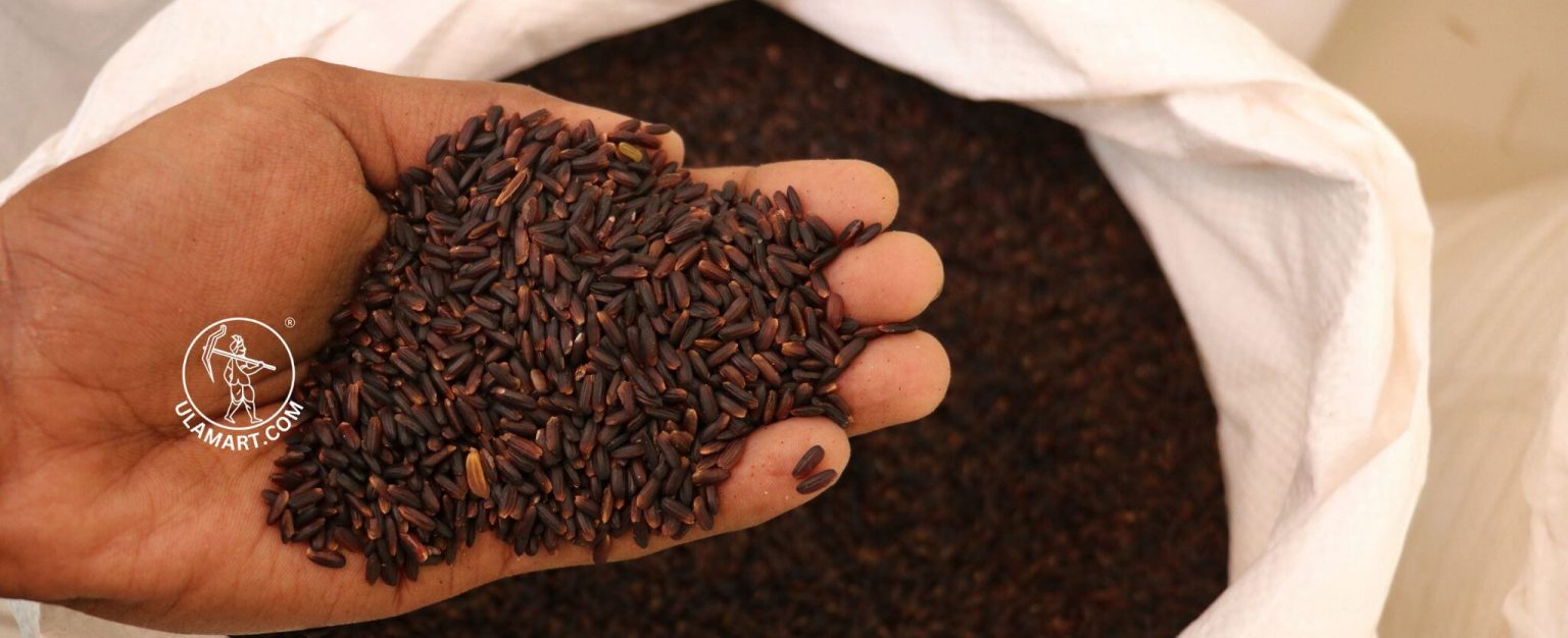 Know about the traditional rice varieties of Tamilnadu | UlaMart.com